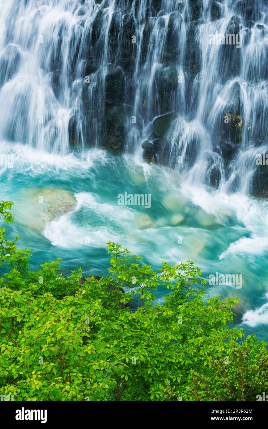 Shirahigenotaki waterfall hi-res stock photography and images - Alamy