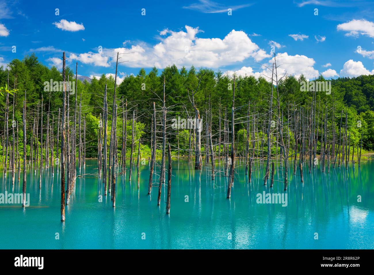 Platinum blue pond hi-res stock photography and images - Alamy