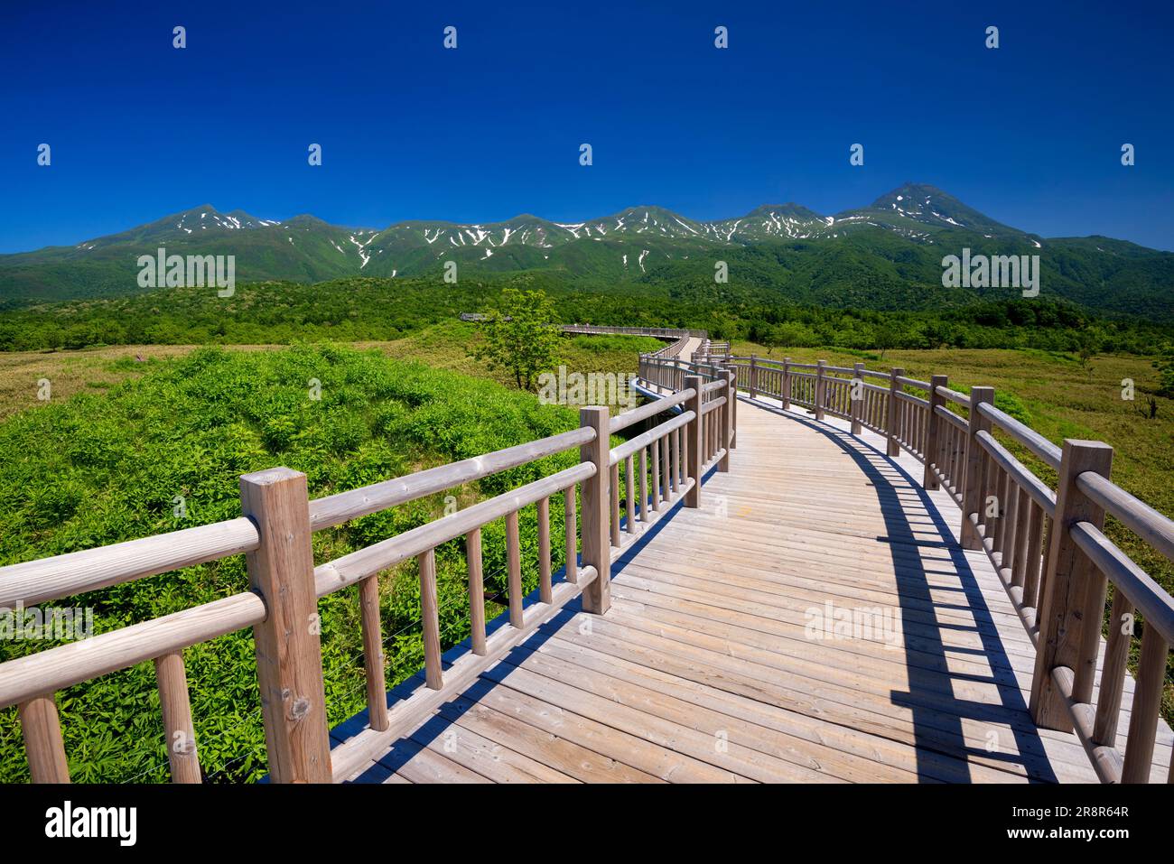 Elevated wooden path and Shiretoko Mountain range Stock Photo - Alamy