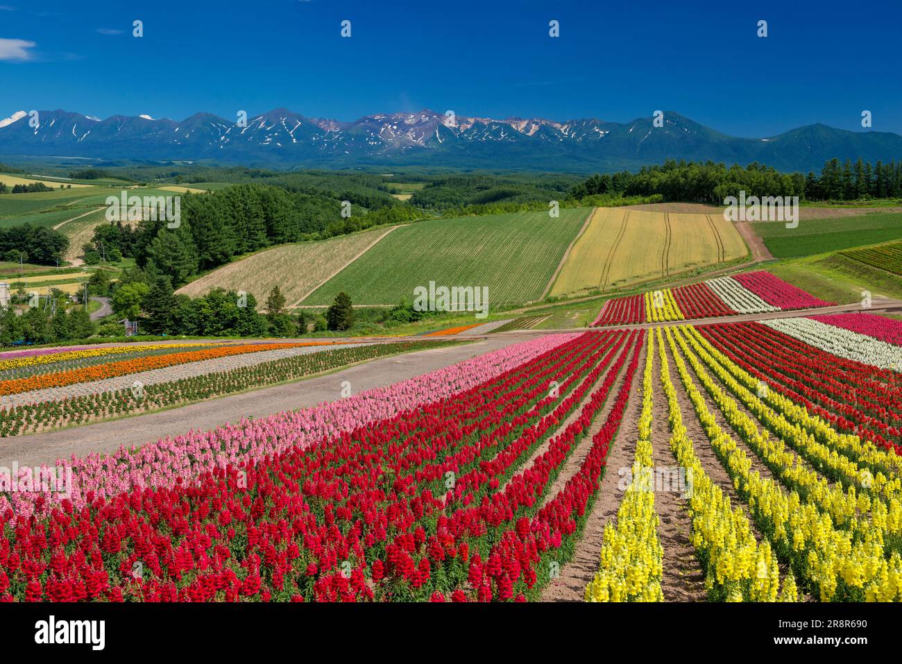 Mount tokachi hi-res stock photography and images - Alamy