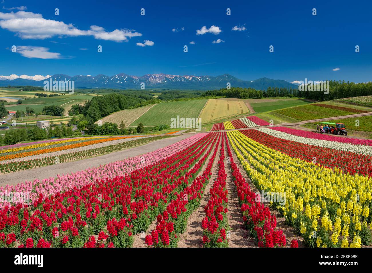 Mount tokachi hi-res stock photography and images - Alamy