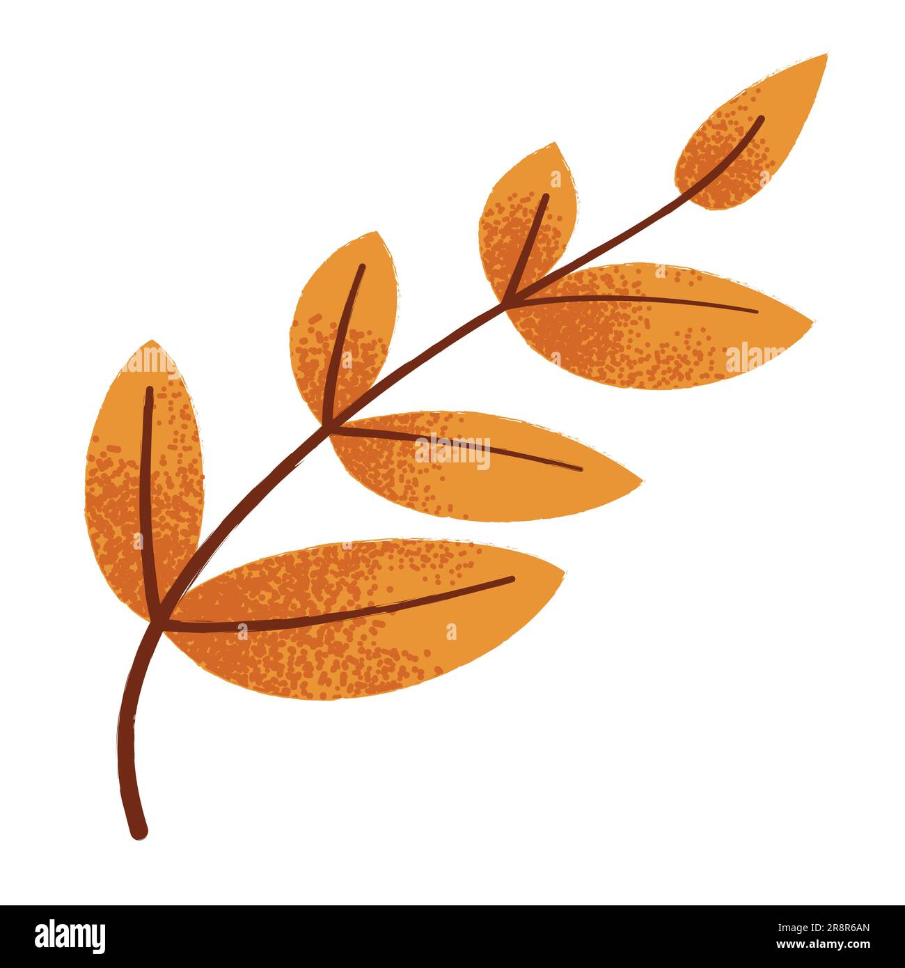 Rowan autumn color icon Cut Out Stock Images & Pictures - Alamy