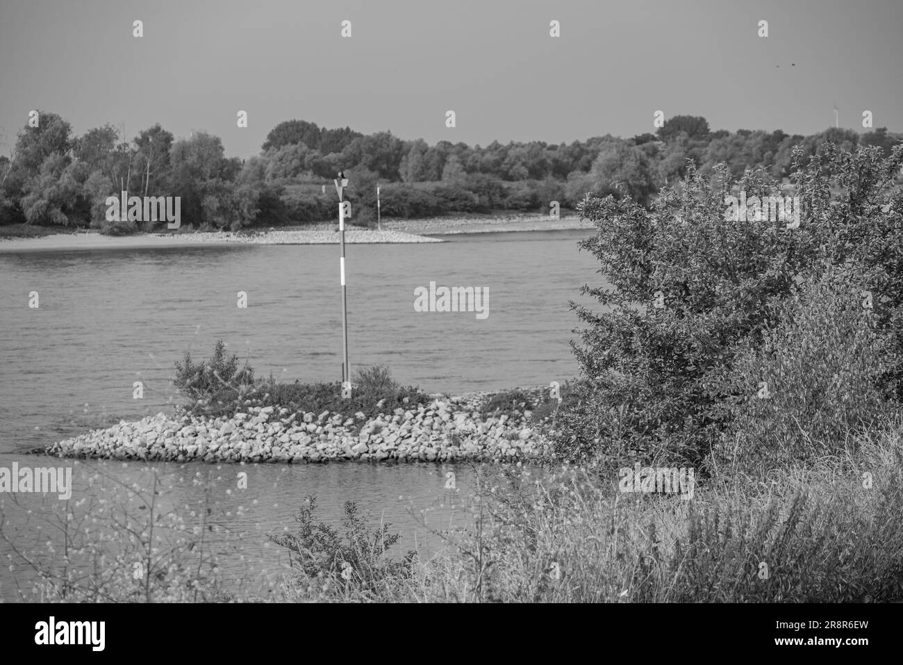 River rees Black and White Stock Photos & Images - Alamy