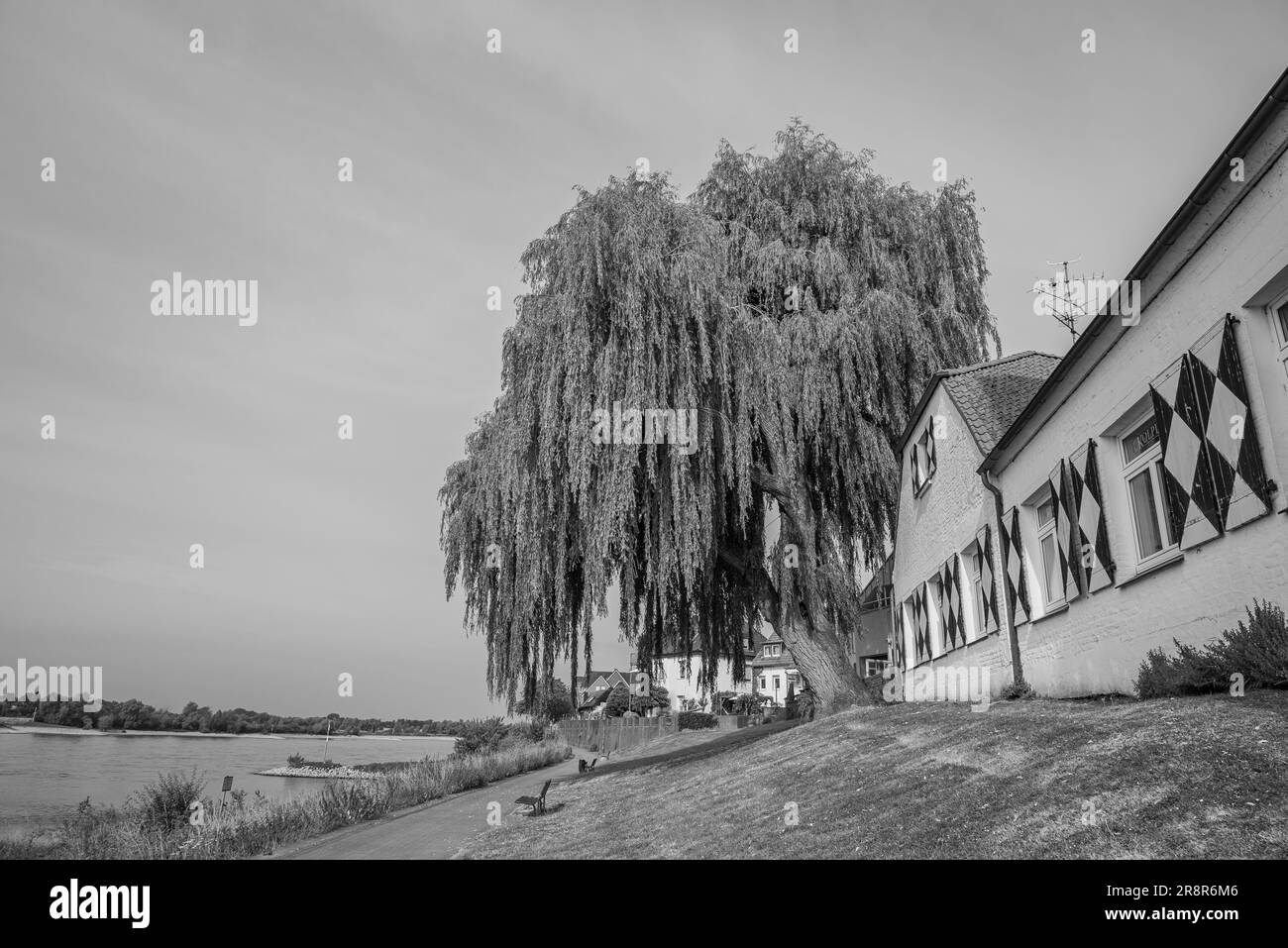 River rees Black and White Stock Photos & Images - Alamy