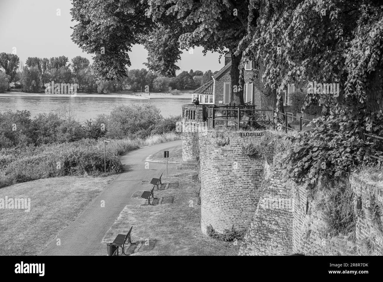 River rees Black and White Stock Photos & Images - Alamy