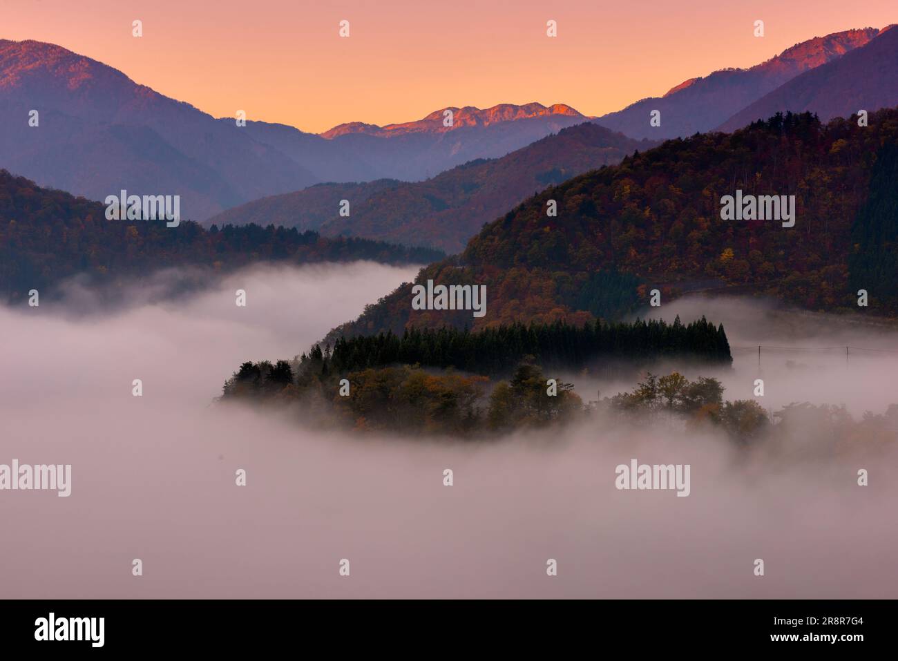 Mount Hakusan in the morning glow and sea of clouds from autumn ...