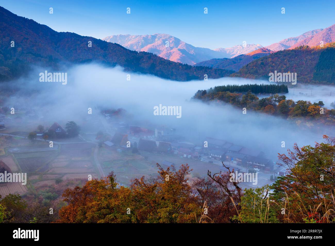Mount Hakusan in the morning glow and sea of clouds from autumn Shirakawago Stock Photo - Alamy
