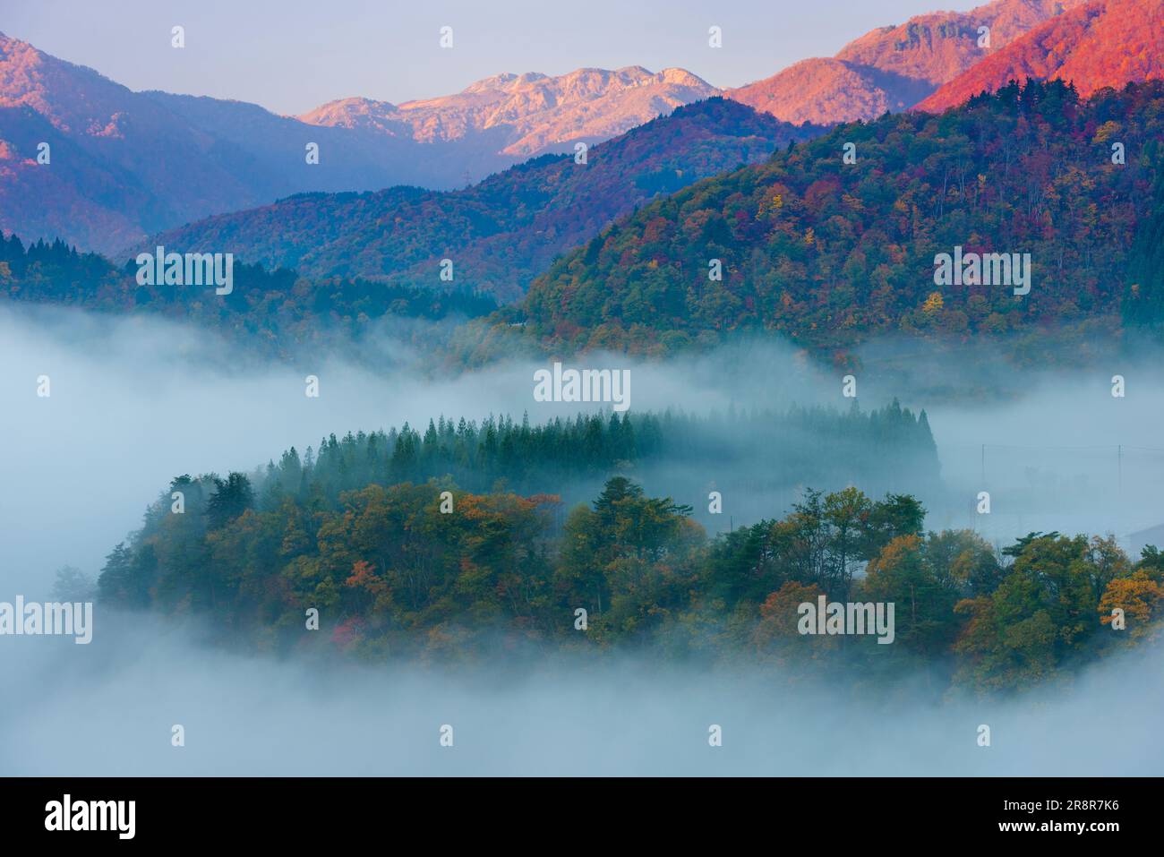 Mount Hakusan in the morning glow and sea of clouds from autumn Shirakawago Stock Photo - Alamy