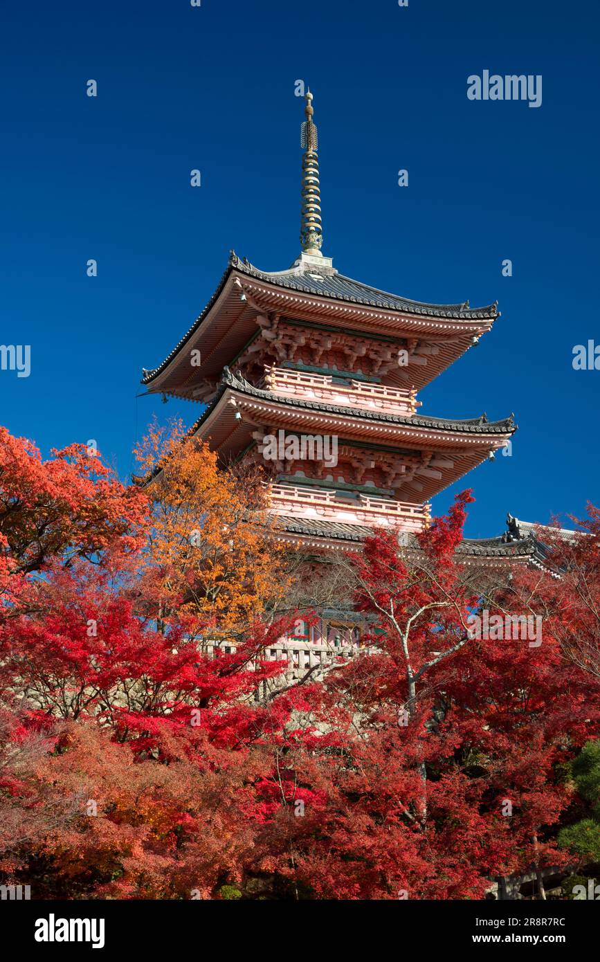 Three storied pagoda of Kiyomizu temple with autumn colored leaves ...