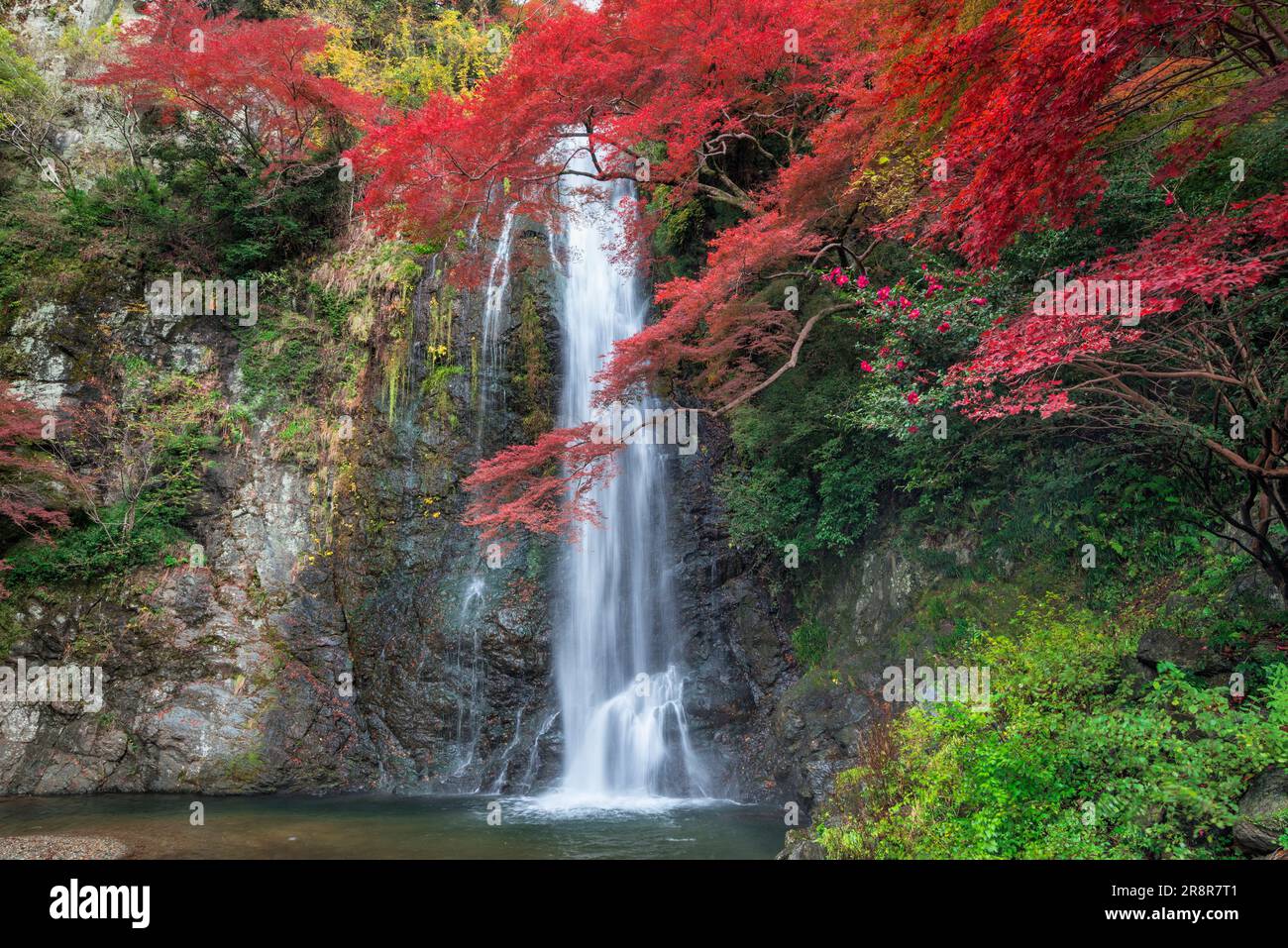 Top 100 waterfalls in japan hi-res stock photography and images - Alamy