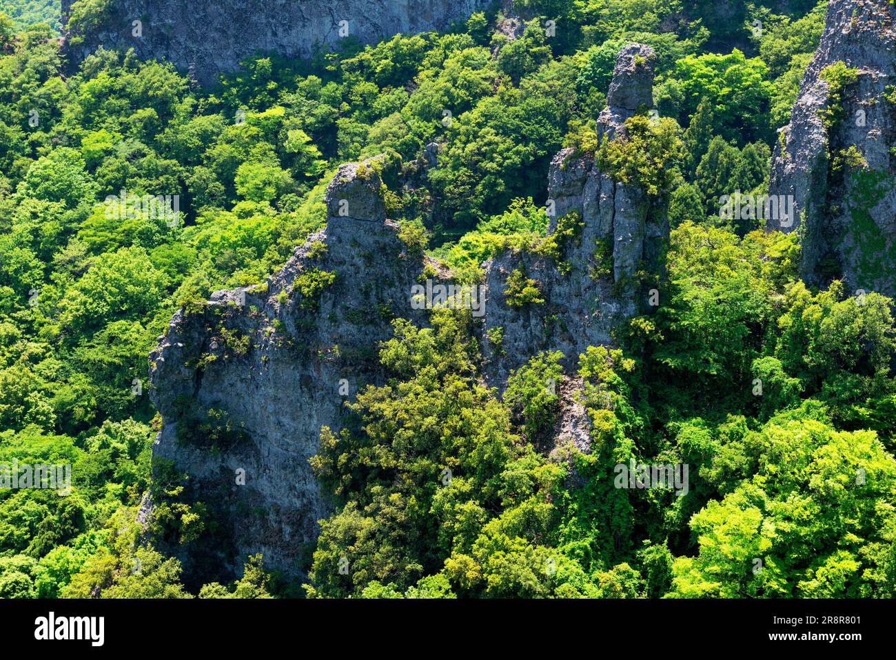 Kankakei gorge hi-res stock photography and images - Alamy