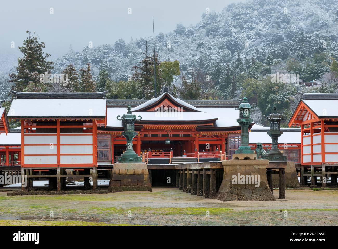 Snow on Itsukushima Shrine Stock Photo - Alamy