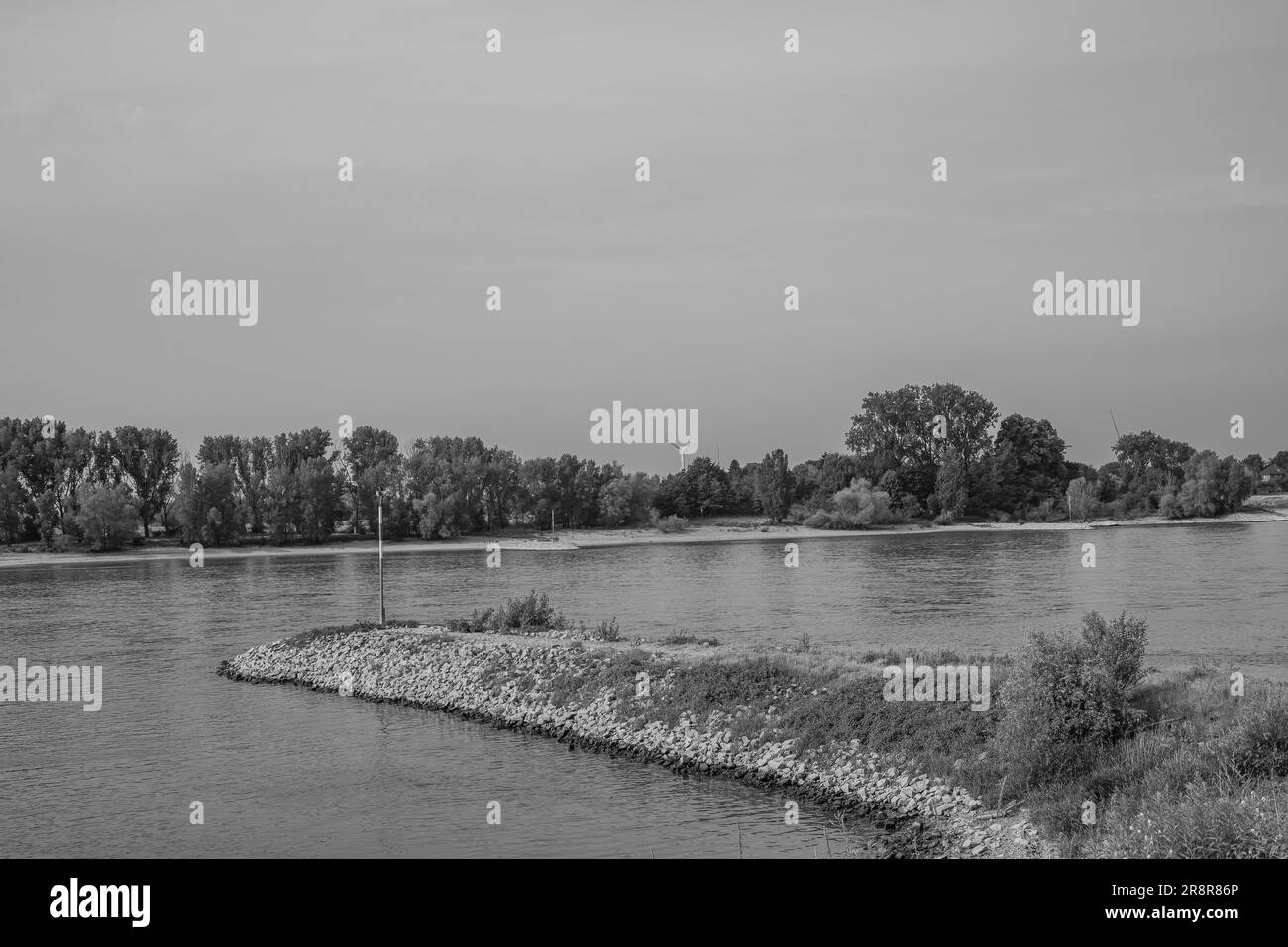 River rees Black and White Stock Photos & Images - Alamy