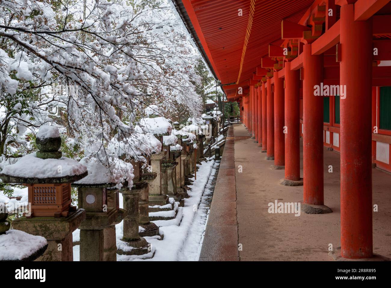 Snow on Kasuga Grand Shrine Stock Photo - Alamy