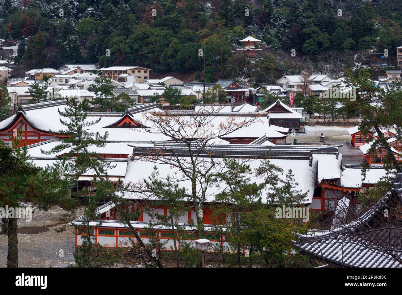 Snow on Itsukushima Shrine Stock Photo - Alamy