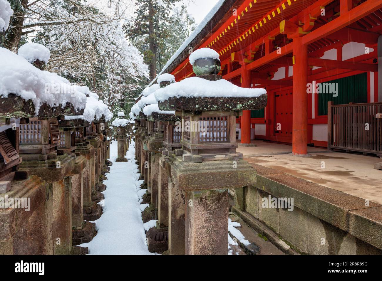 Snow on Kasuga Grand Shrine Stock Photo - Alamy