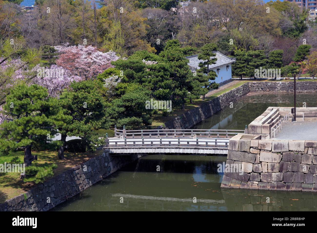 Nijo castle with cherry blossoms Stock Photo - Alamy