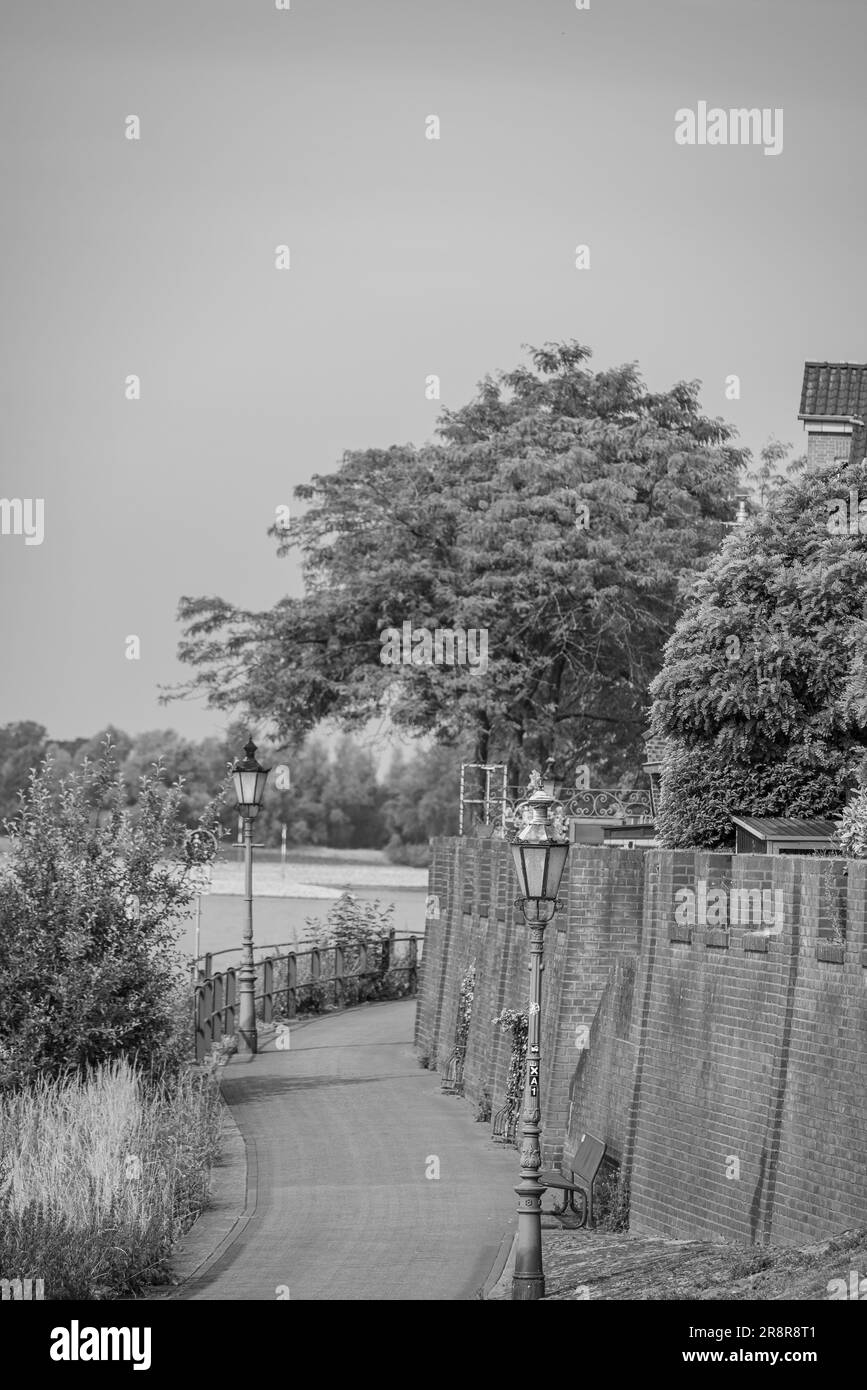 River rees Black and White Stock Photos & Images - Alamy