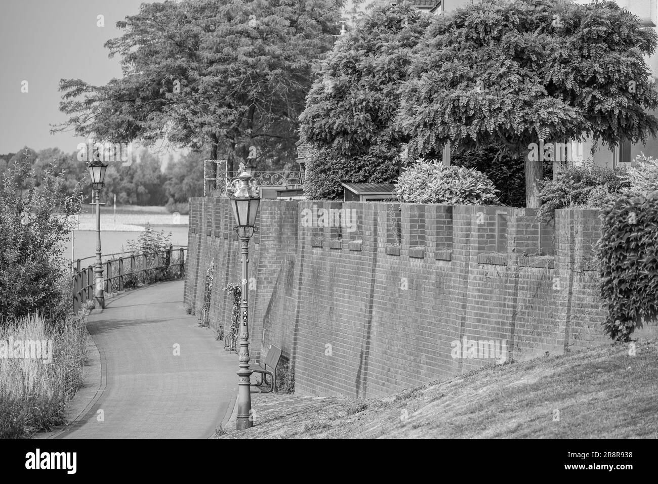 River rees Black and White Stock Photos & Images - Alamy