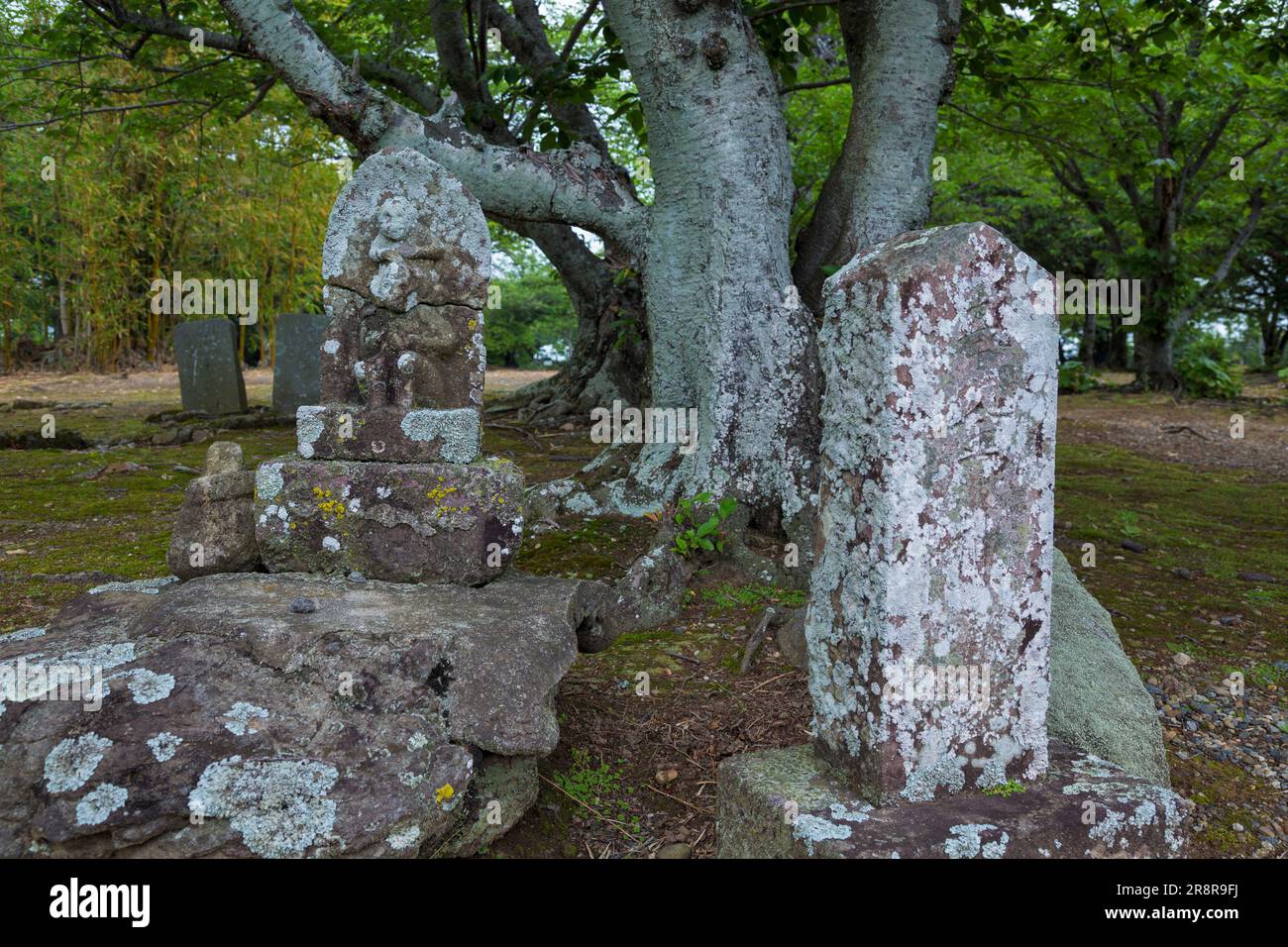 the ruins of Harajo castle Stock Photo - Alamy