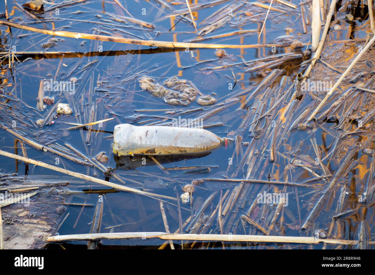 plastic bottle floats in river water in spring Stock Photo - Alamy