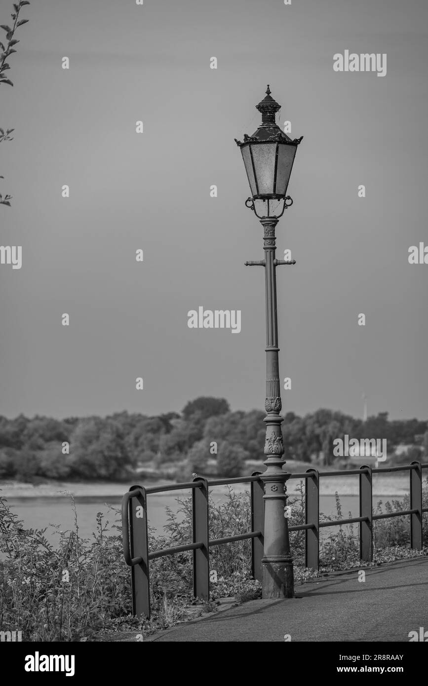 River rees Black and White Stock Photos & Images - Alamy