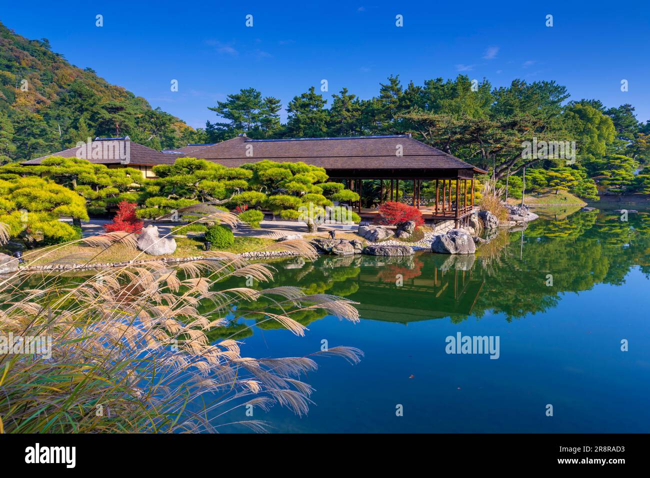 Nanko park japanese garden hi-res stock photography and images - Alamy