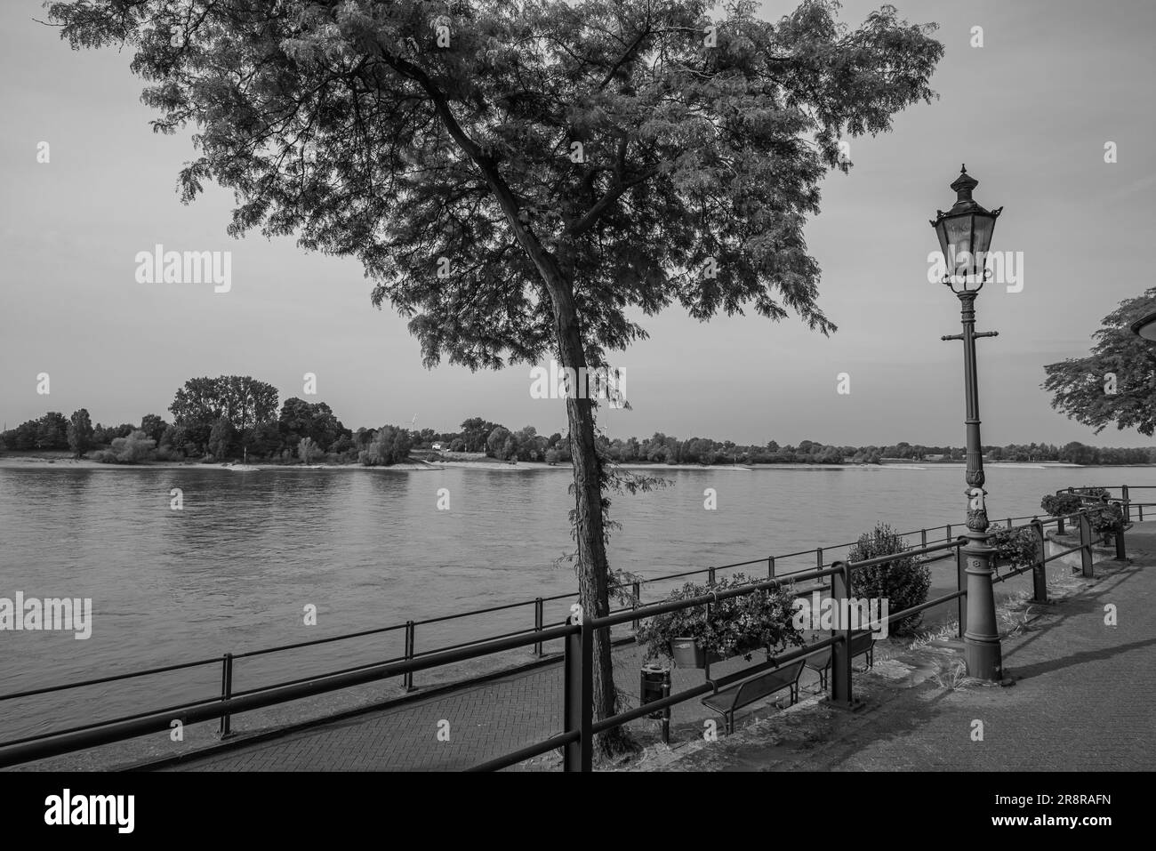 River rees Black and White Stock Photos & Images - Alamy