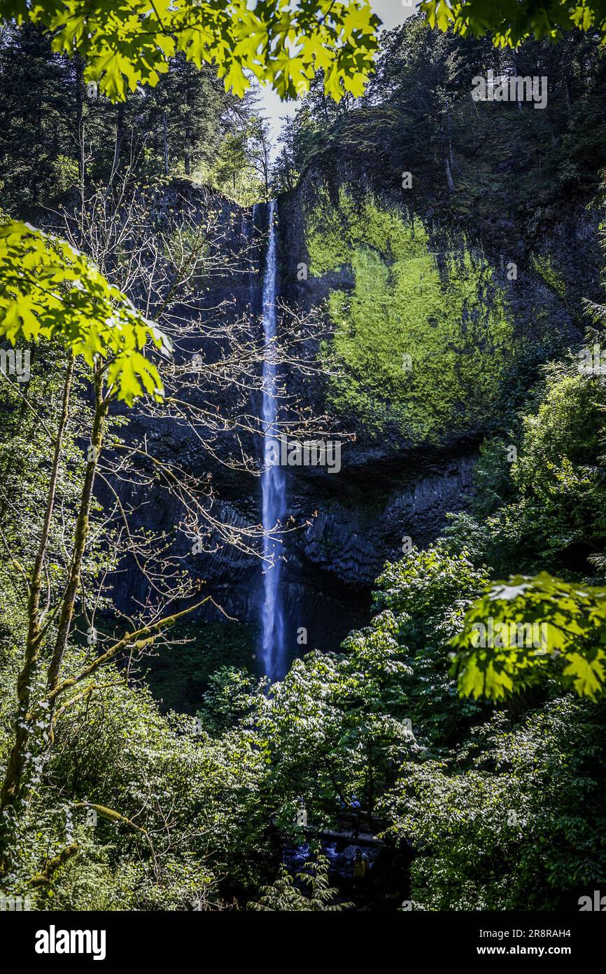 illustration during the 2023 Southwire Portland ePrix, 9th meeting of ...