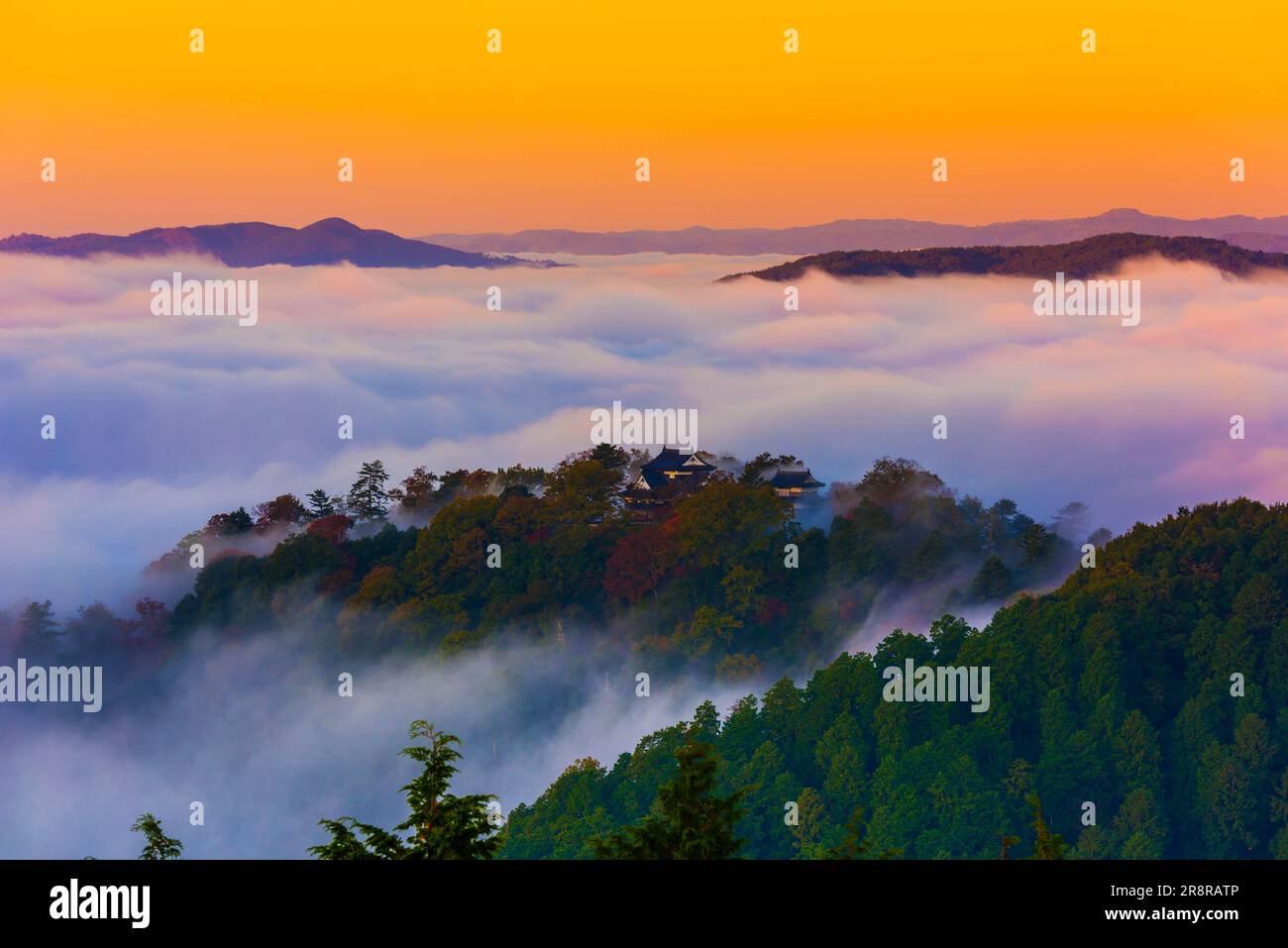 Morning Sea of Clouds and Bicchu Matsuyama Castle Stock Photo - Alamy