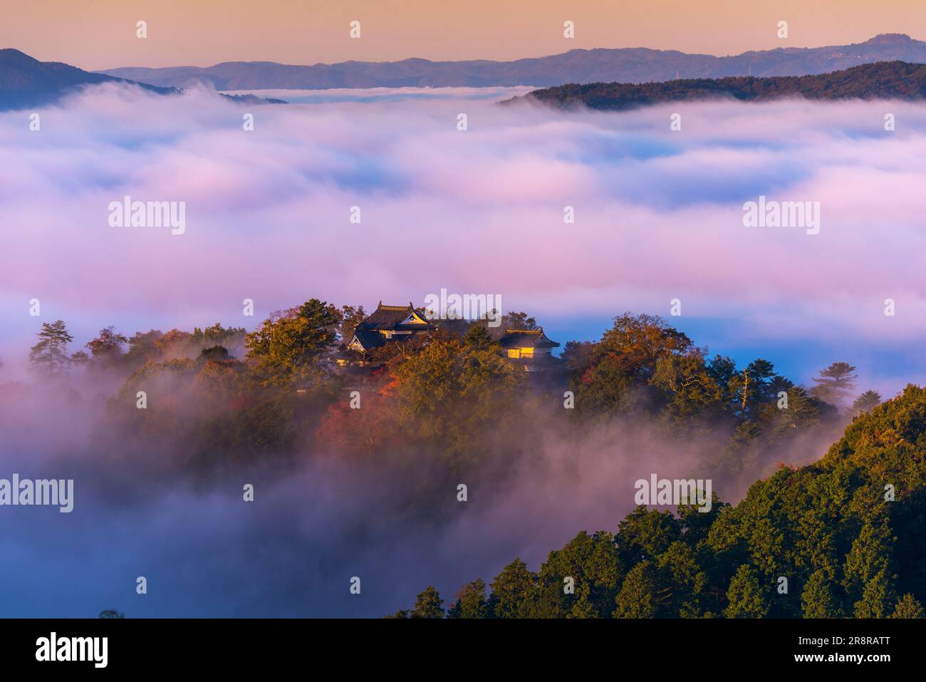 Morning Sea of Clouds and Bicchu Matsuyama Castle Stock Photo - Alamy