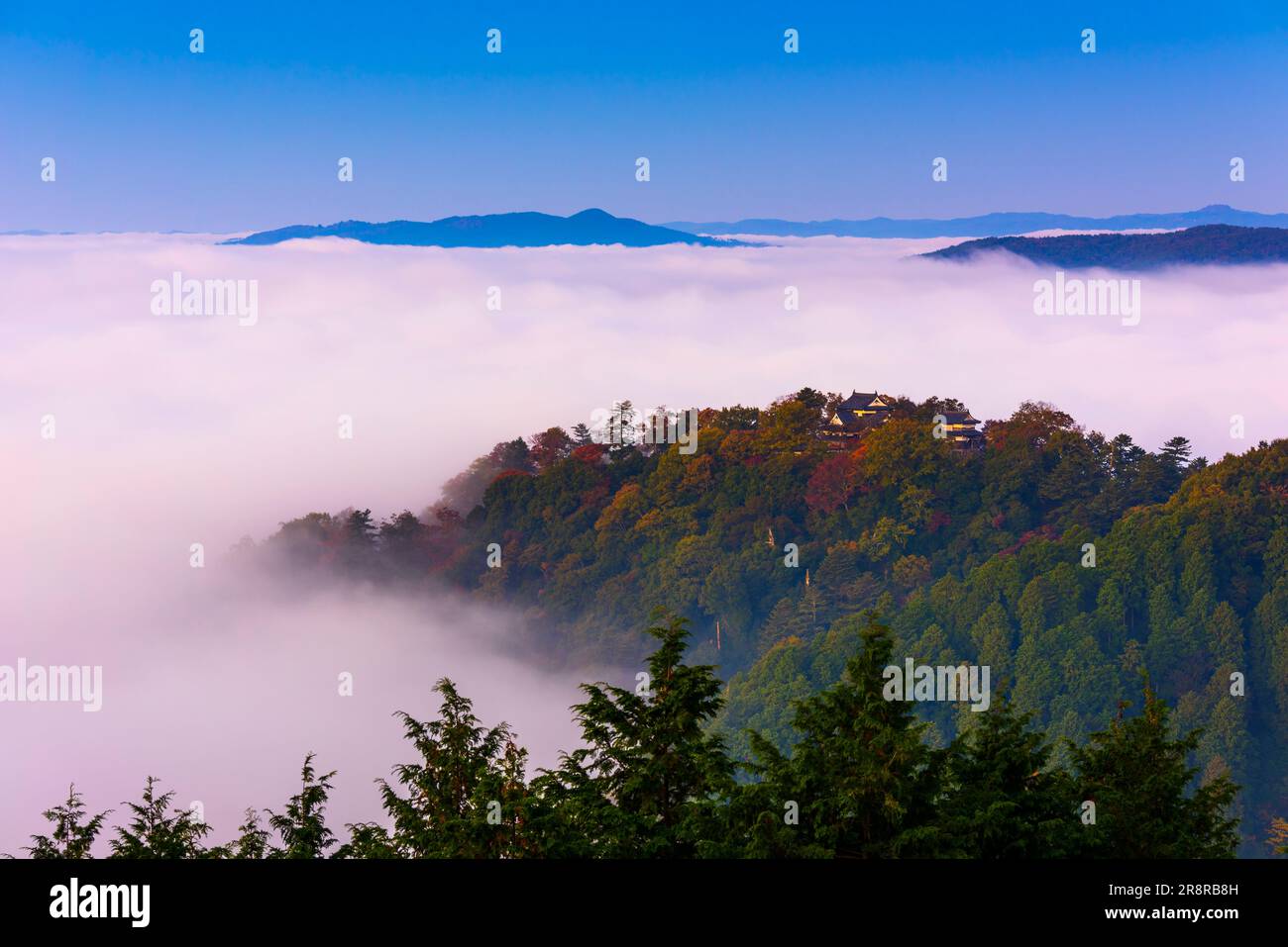 Morning Sea of Clouds and Bicchu Matsuyama Castle Stock Photo - Alamy
