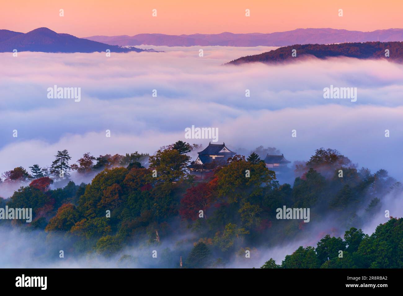 Morning Sea of Clouds and Bicchu Matsuyama Castle Stock Photo - Alamy