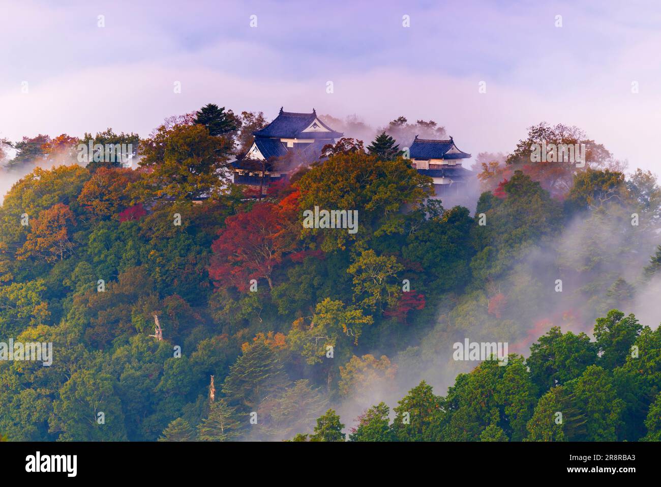 Morning Sea of Clouds and Bicchu Matsuyama Castle Stock Photo - Alamy
