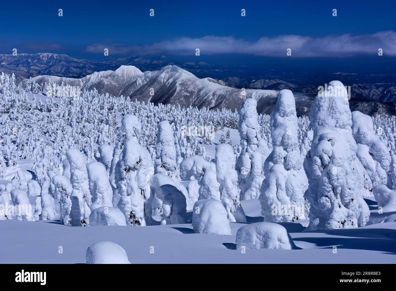 Frost covered trees in Zao Stock Photo - Alamy