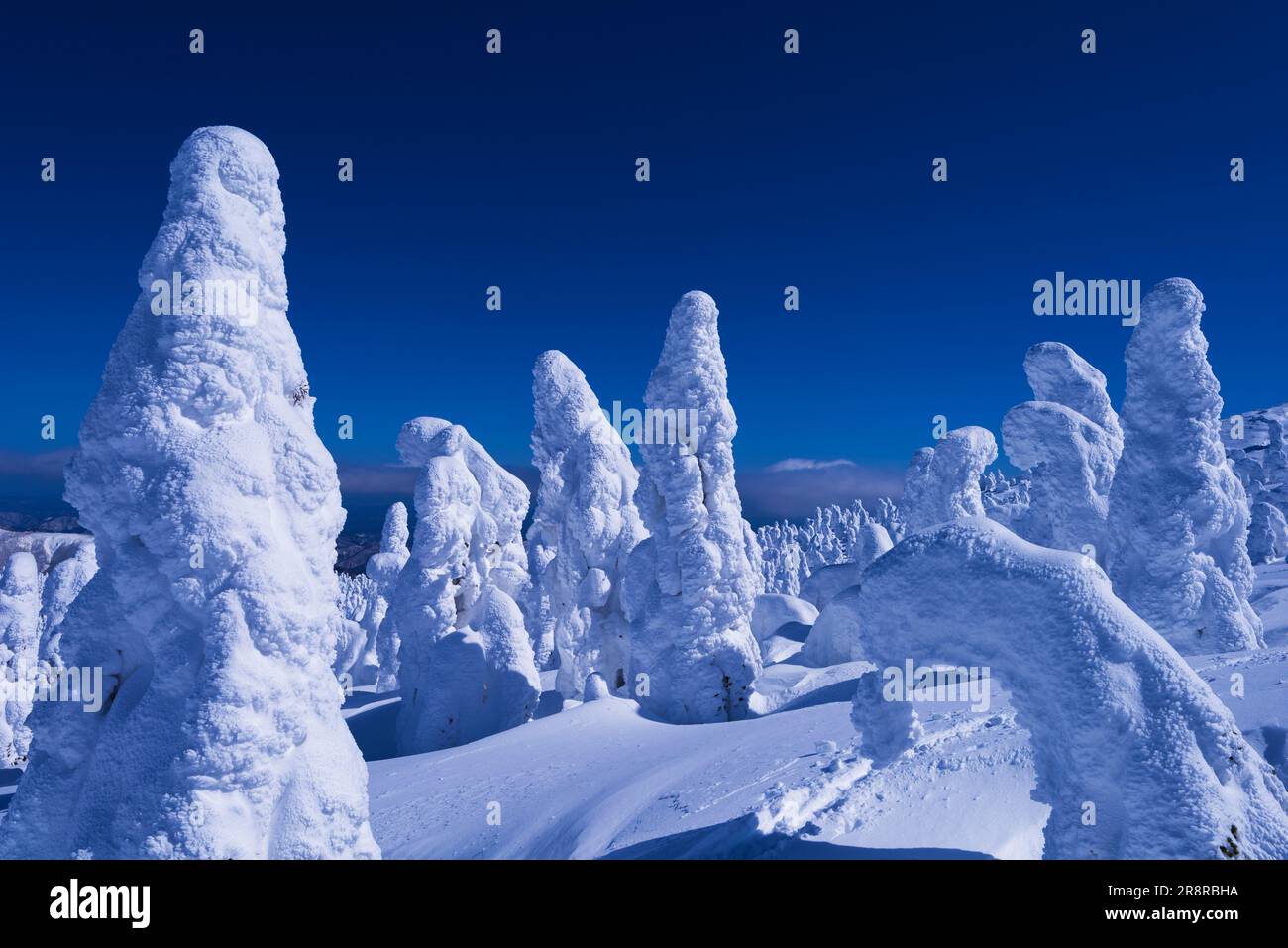 Frost covered trees in Zao Stock Photo - Alamy