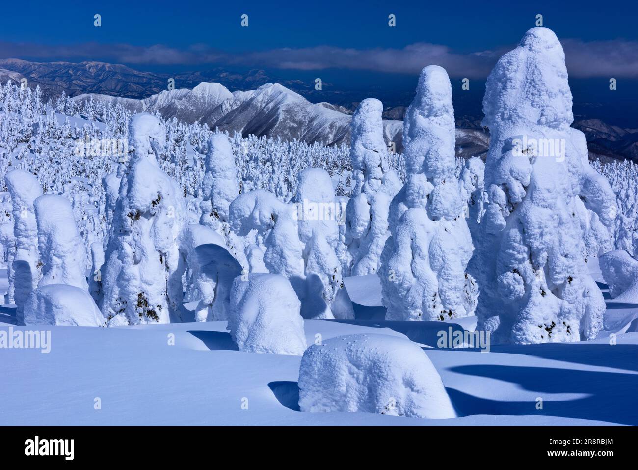 Frost covered trees in Zao Stock Photo - Alamy