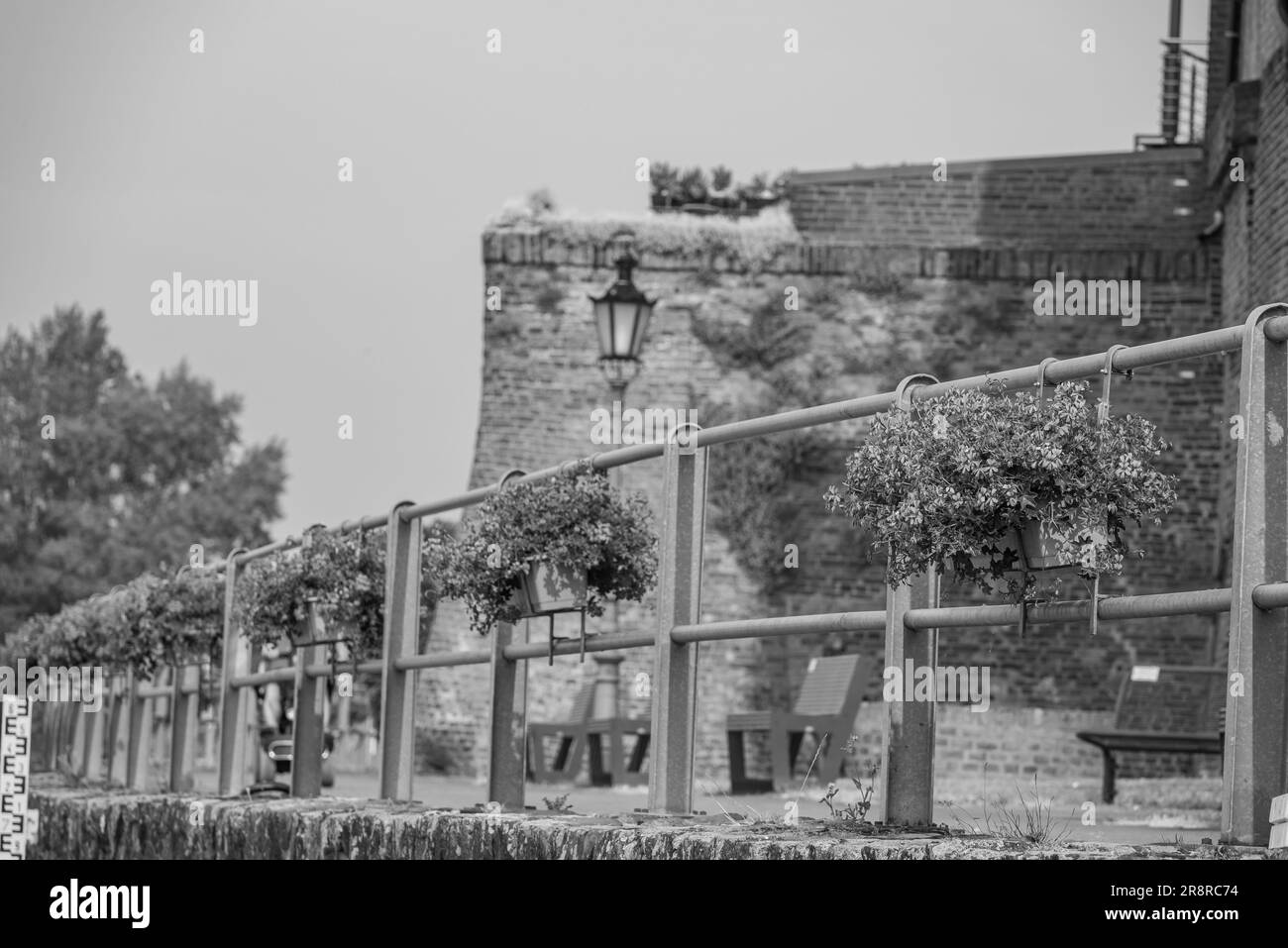 River rees Black and White Stock Photos & Images - Alamy