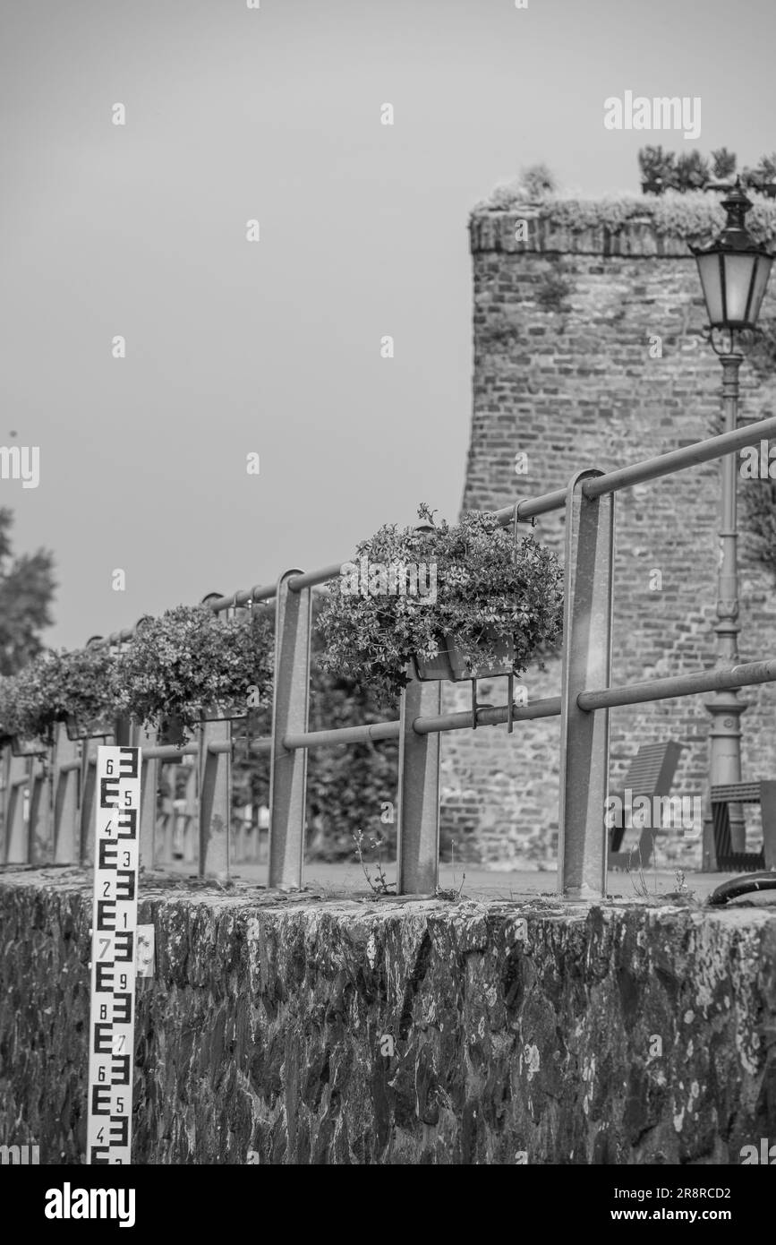 River rees Black and White Stock Photos & Images - Alamy