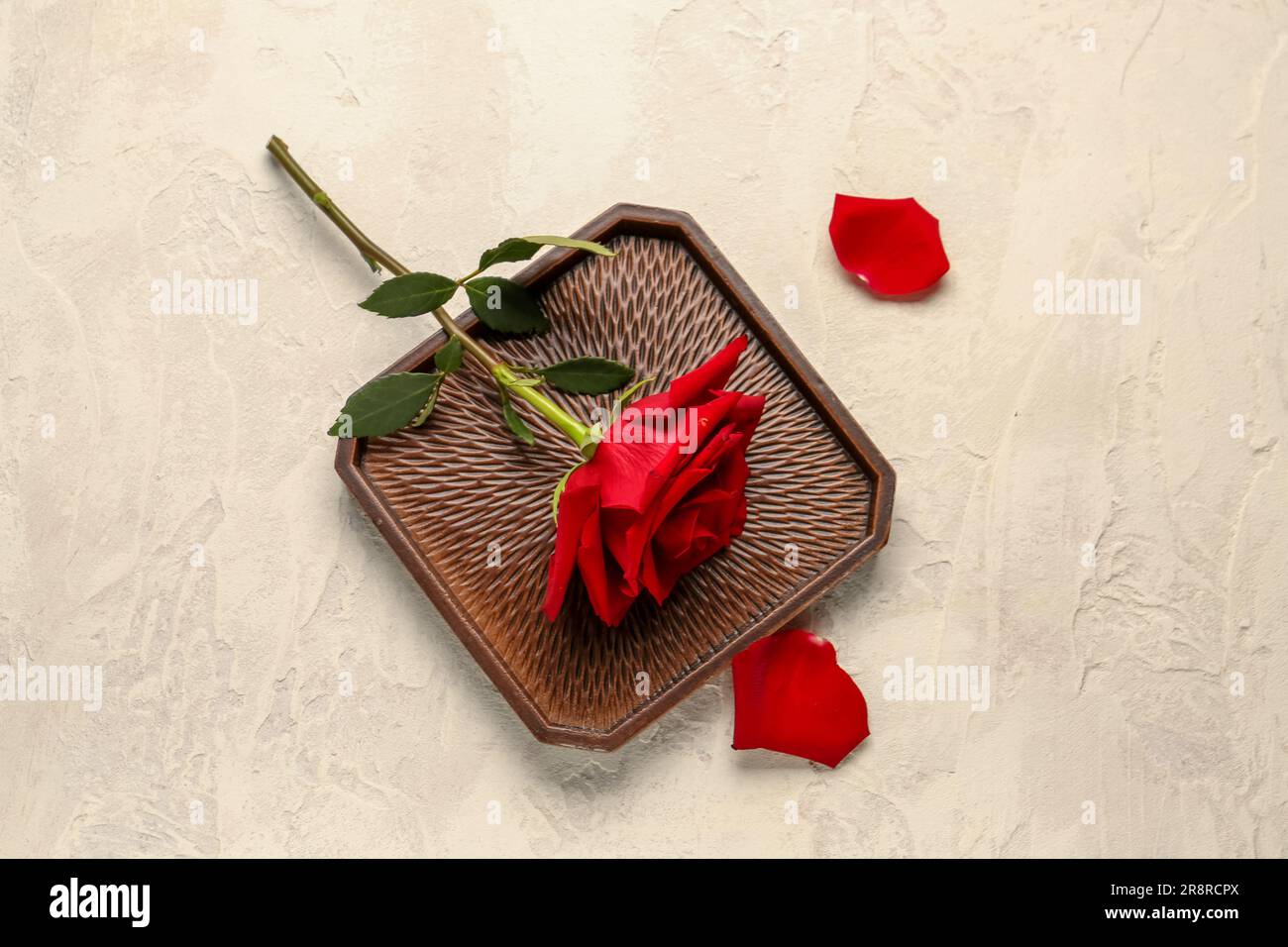 Tray with beautiful red rose and petals on light background Stock Photo ...
