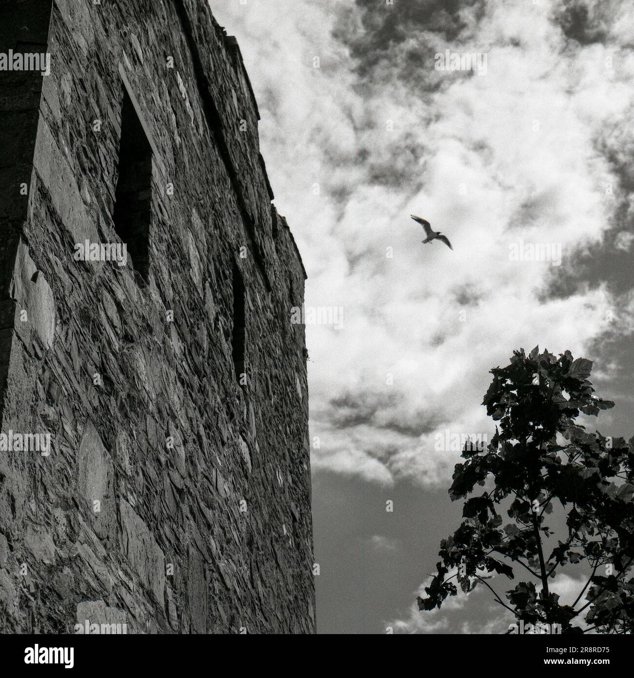 Portaferry castle hi-res stock photography and images - Alamy