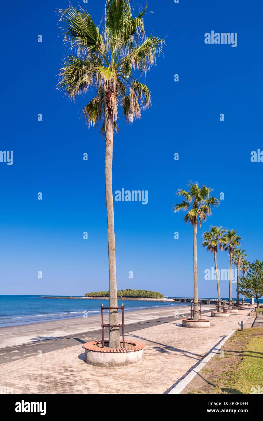 Aoshima beach hi-res stock photography and images - Alamy