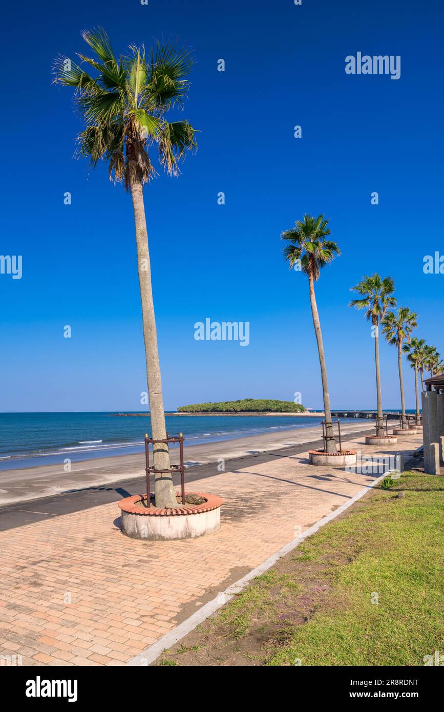 Aoshima beach hi-res stock photography and images - Alamy