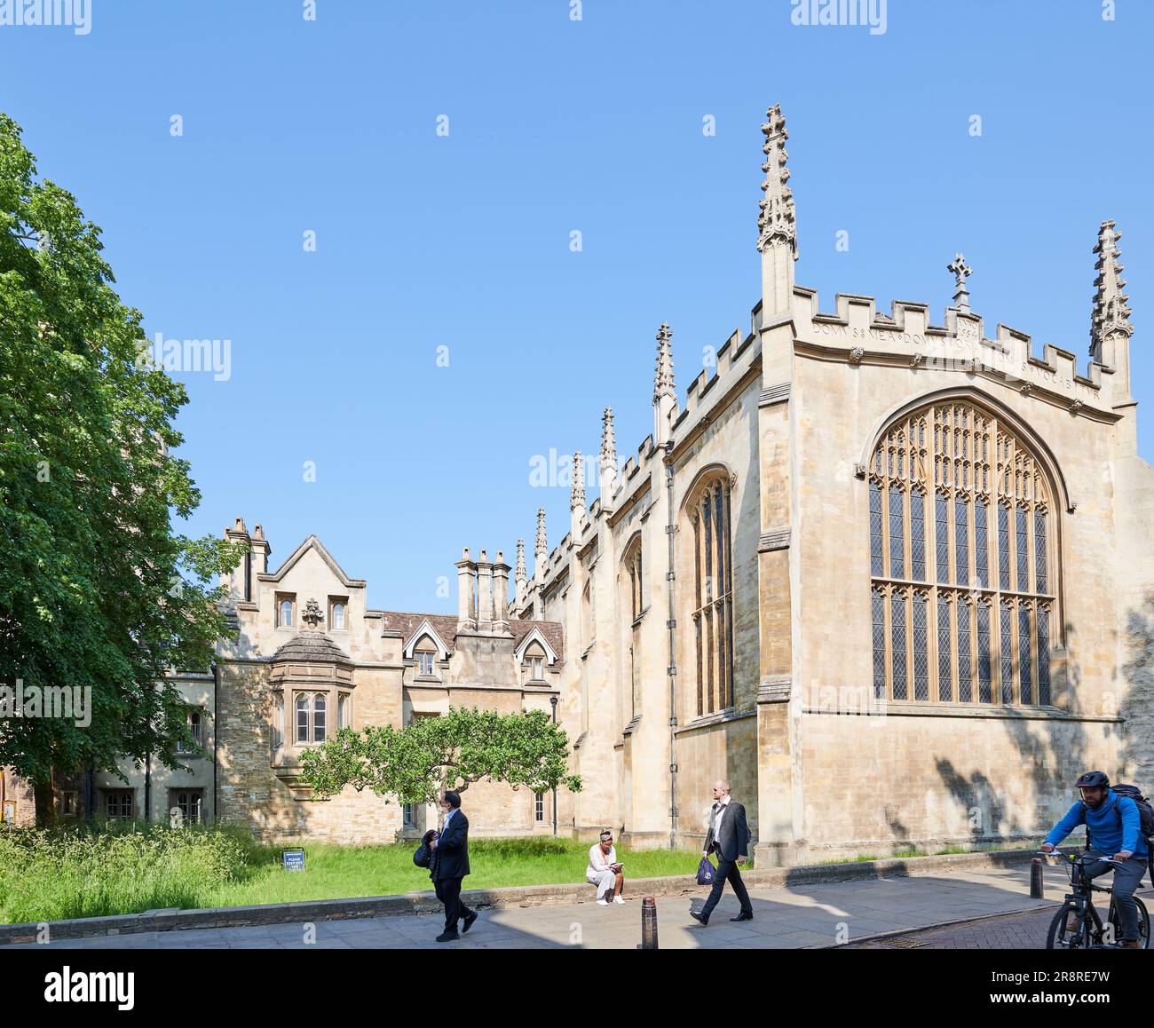 Apple tree, attributed to Isaac Newton, beside the chapel at Trinity ...