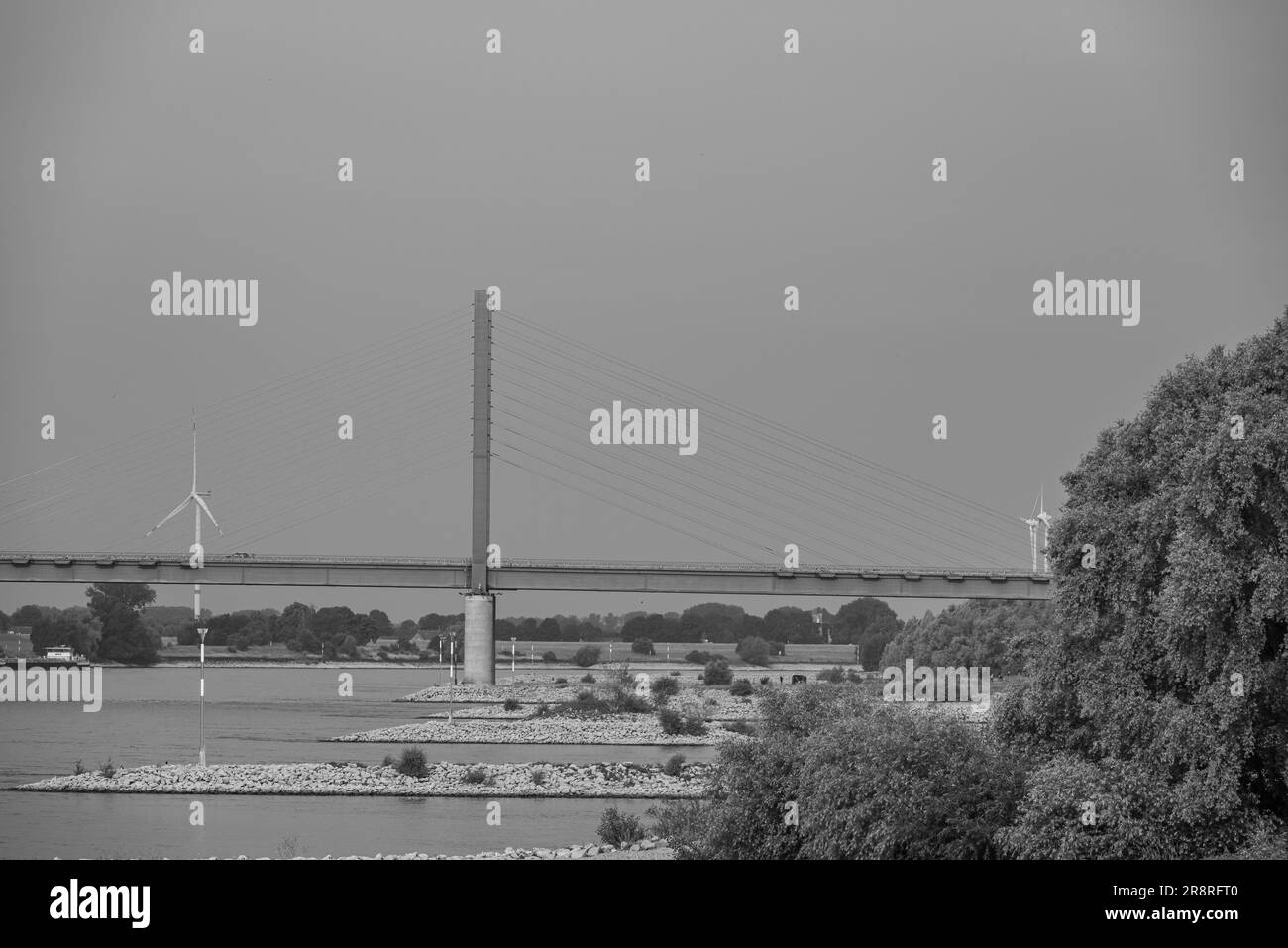 River rees Black and White Stock Photos & Images - Alamy