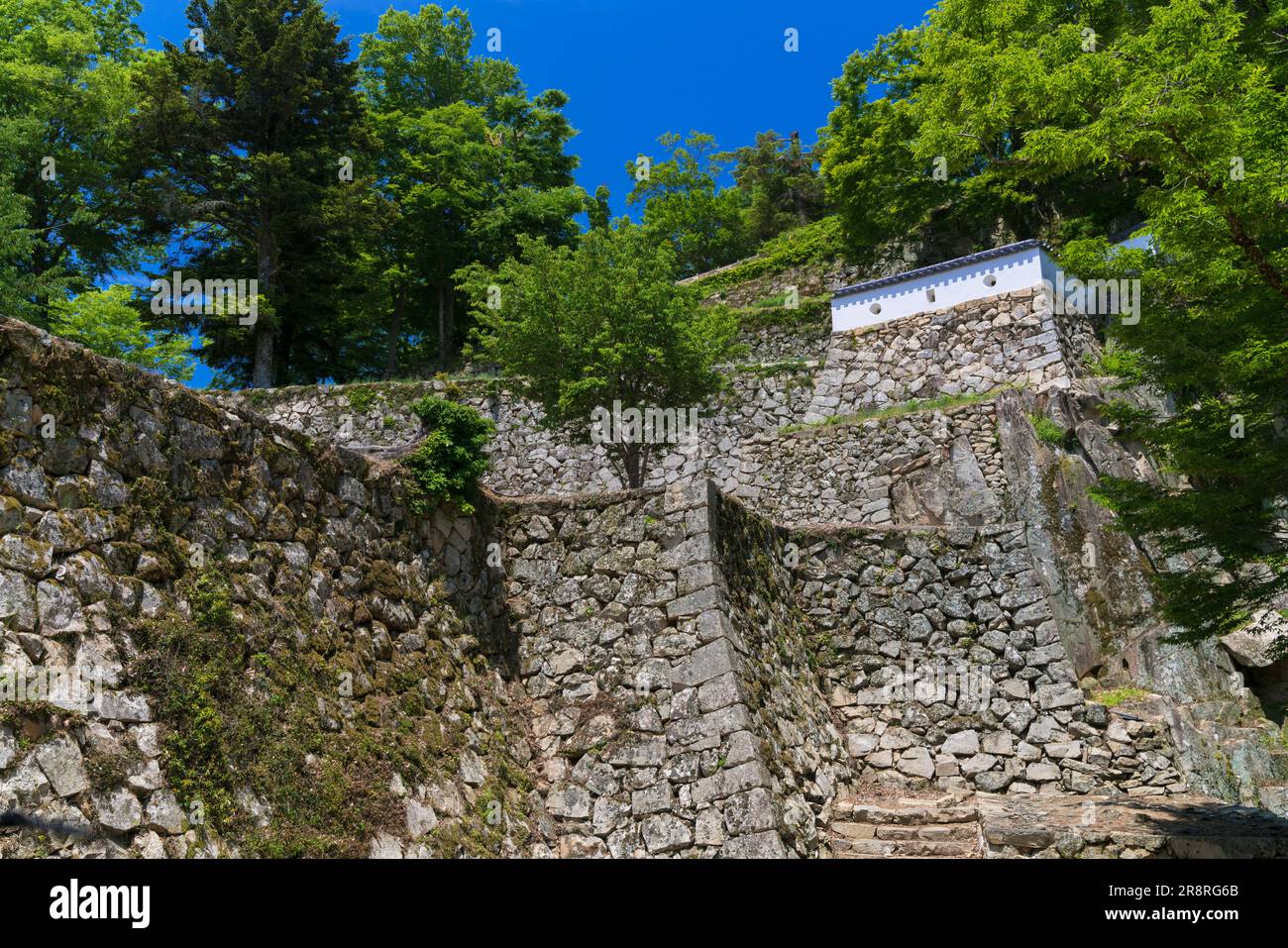 Stonewalls of Bicchu Matsuyama Castle Stock Photo - Alamy
