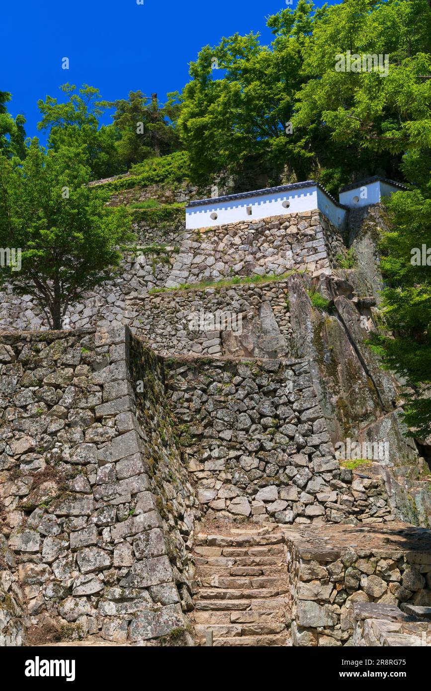 Stonewalls of Bicchu Matsuyama Castle Stock Photo - Alamy