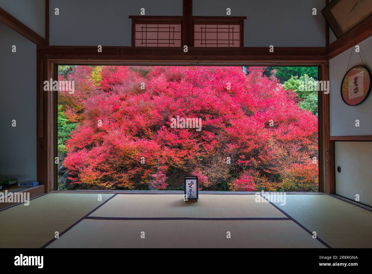 Dodan azalea at Angoku-ji Temple Stock Photo - Alamy