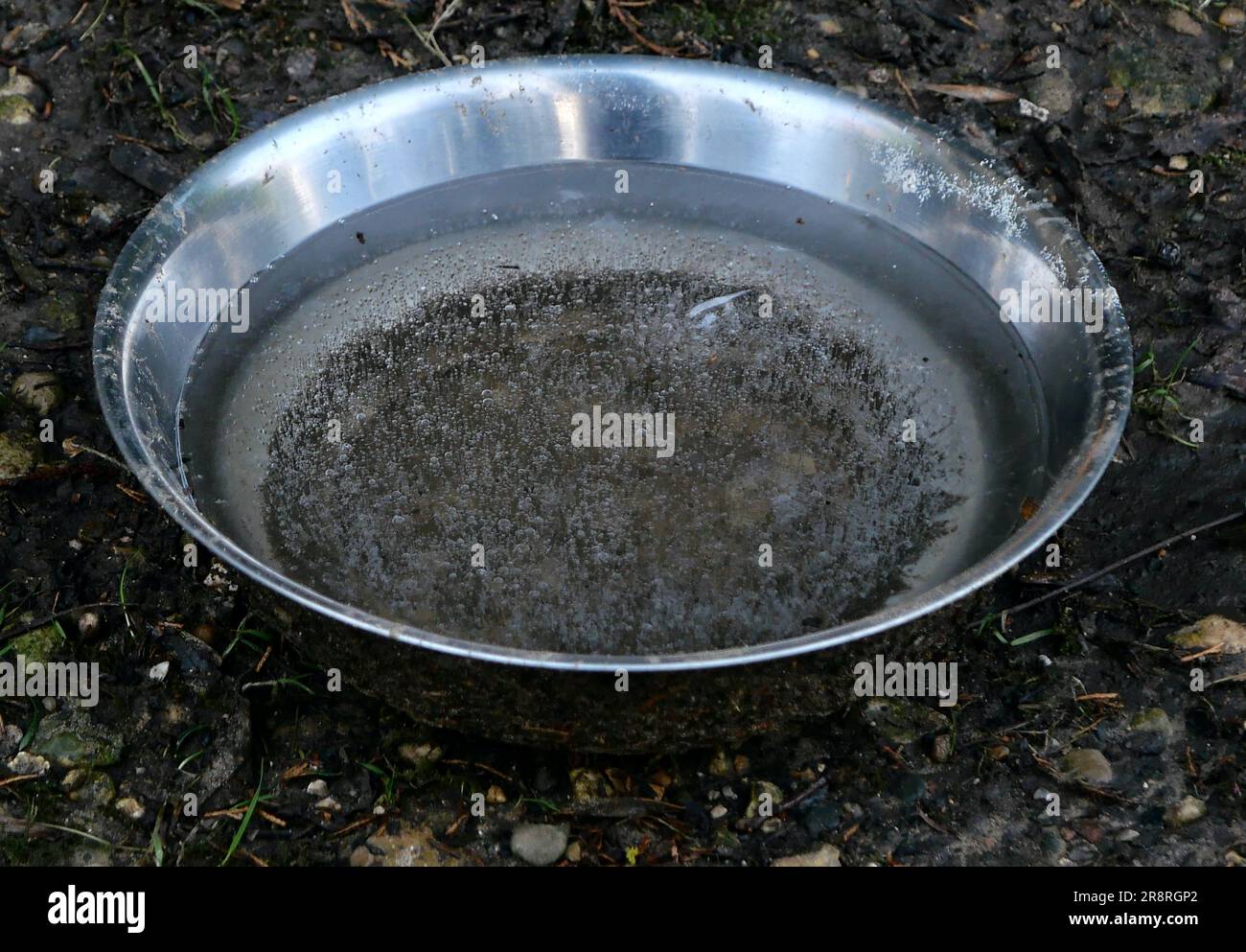 Silver metal dog's dish filled with water standing on rough ground ...