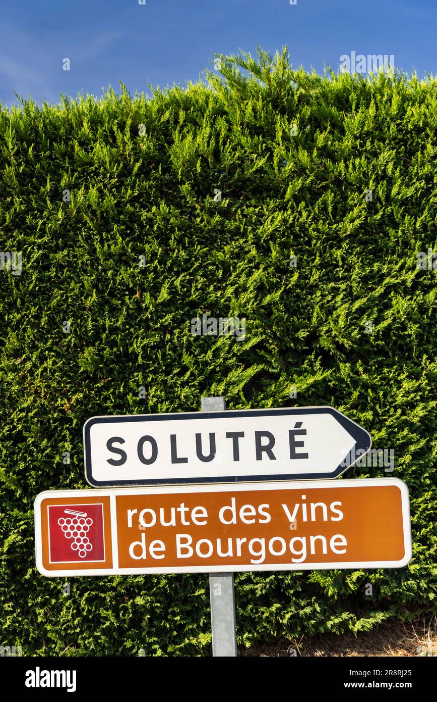 Wine road near Solutre, Burgundy, France Stock Photo - Alamy